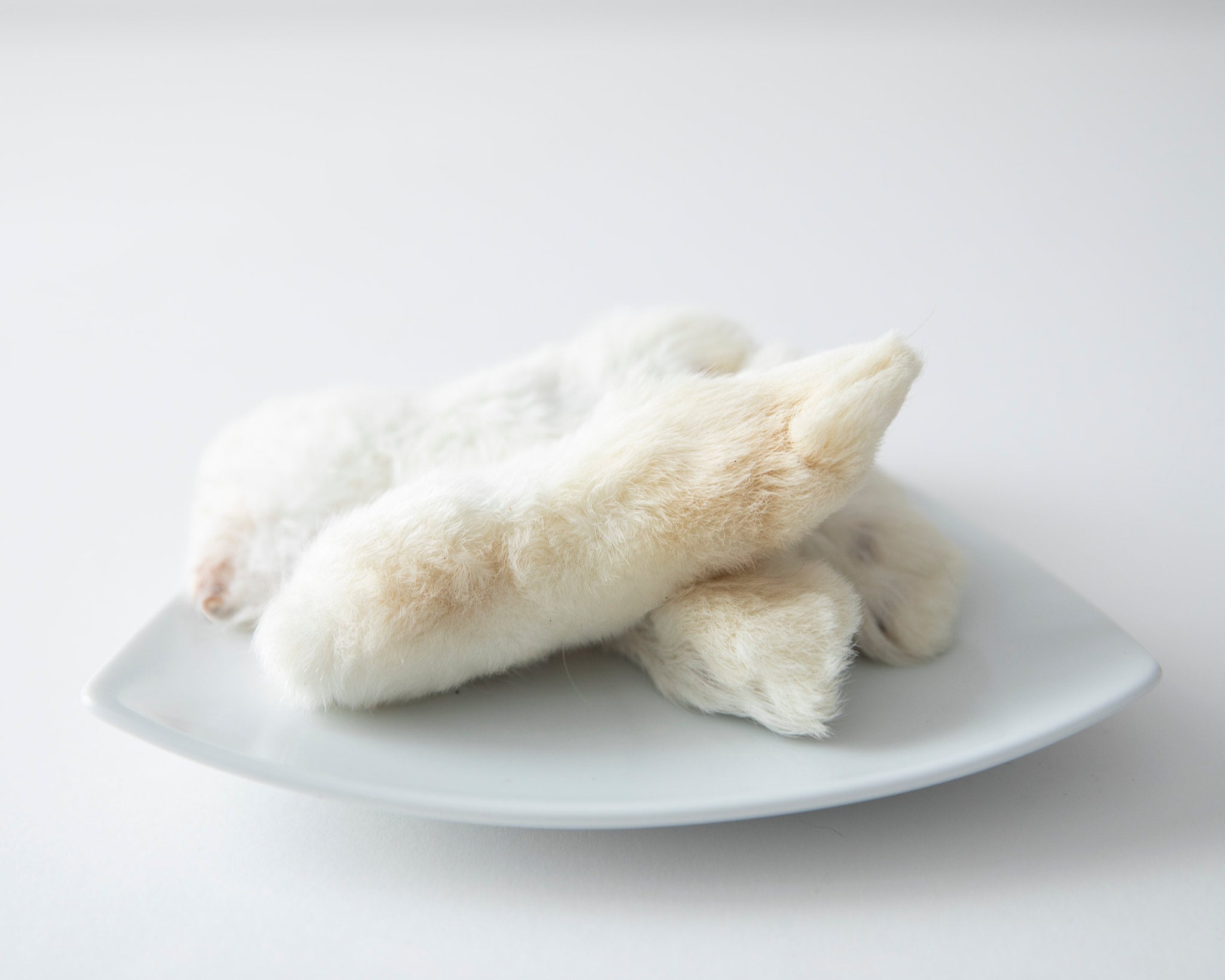 Rabbit feet | Grand Valley Quail Pet Treats