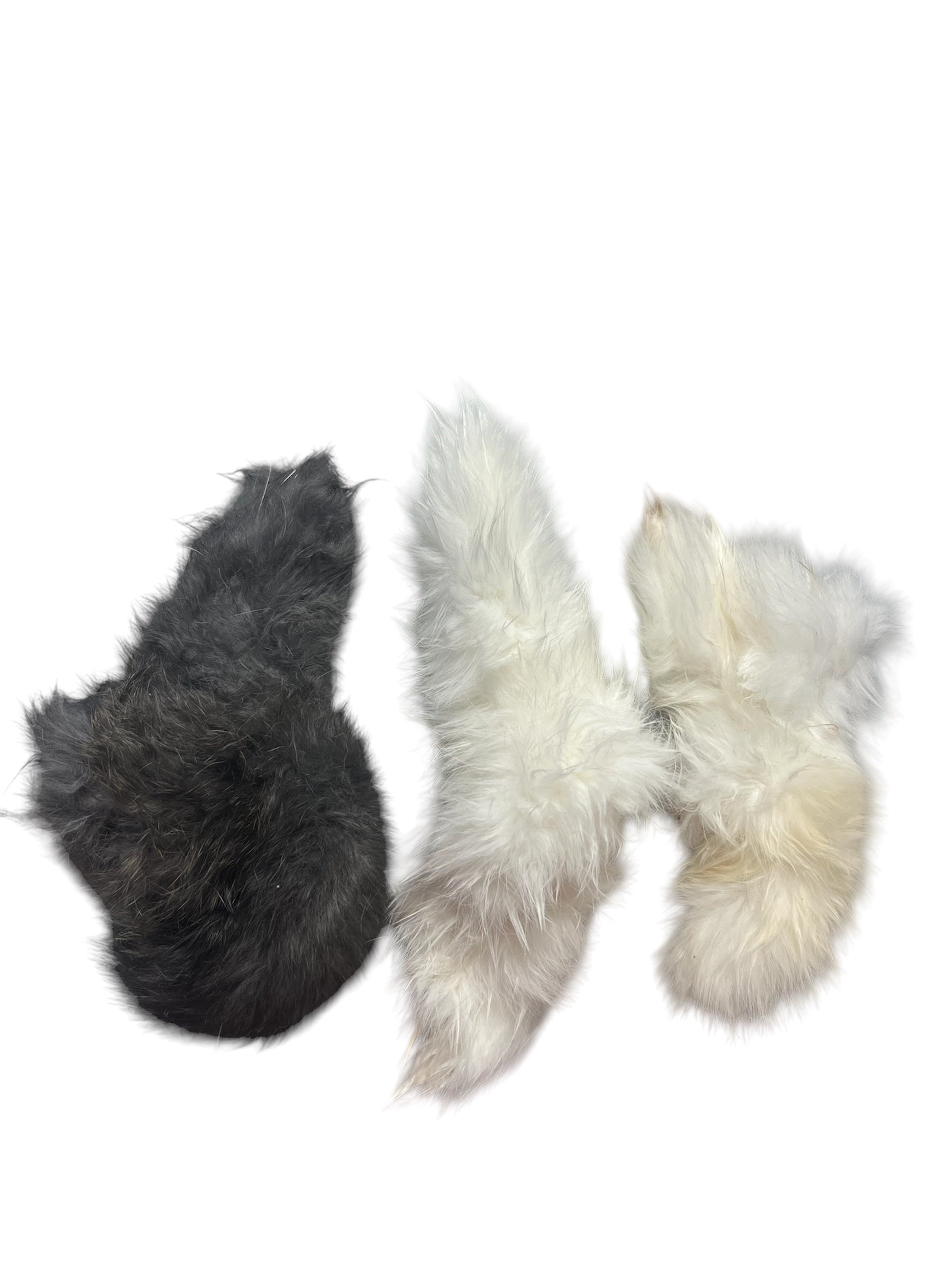 Dehydrated Rabbit Tail *SALE* | Grand Valley Quail Pet Treats